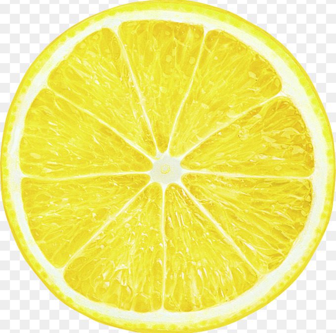citrus-sinensis-lemon | Lemon Tree Naturist